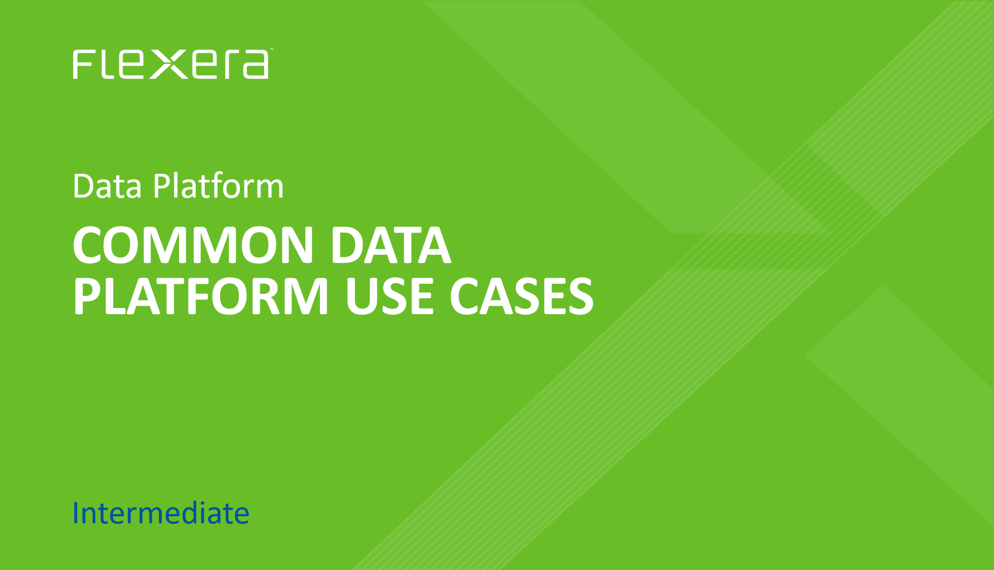 Common Data Platform Use Cases