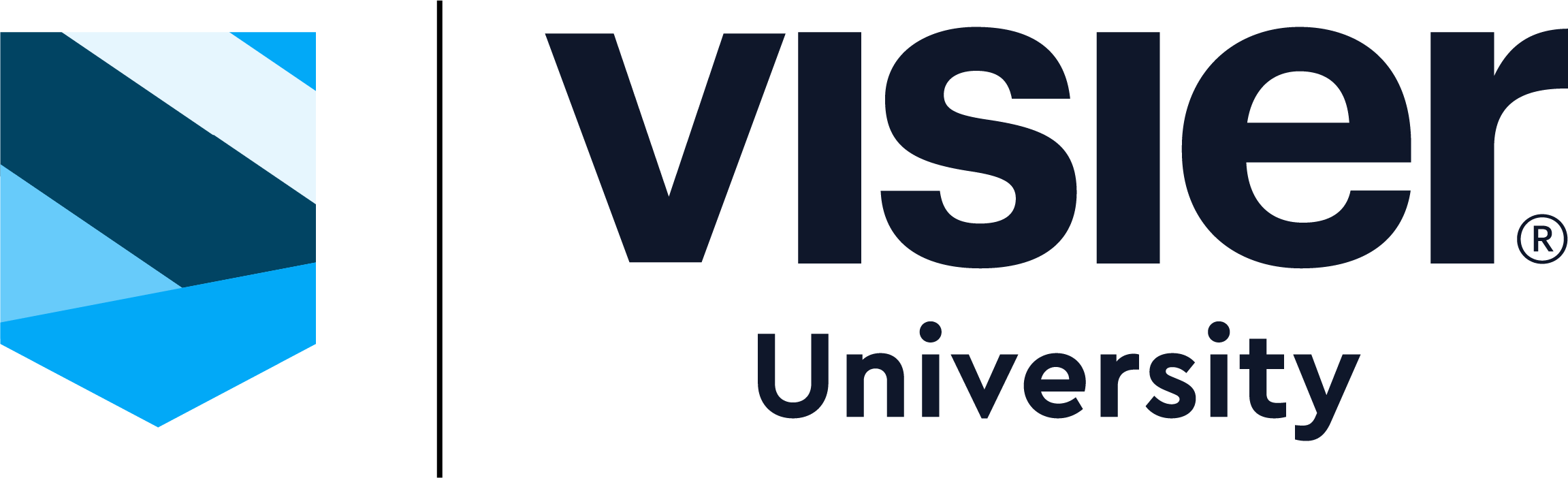 Visier University