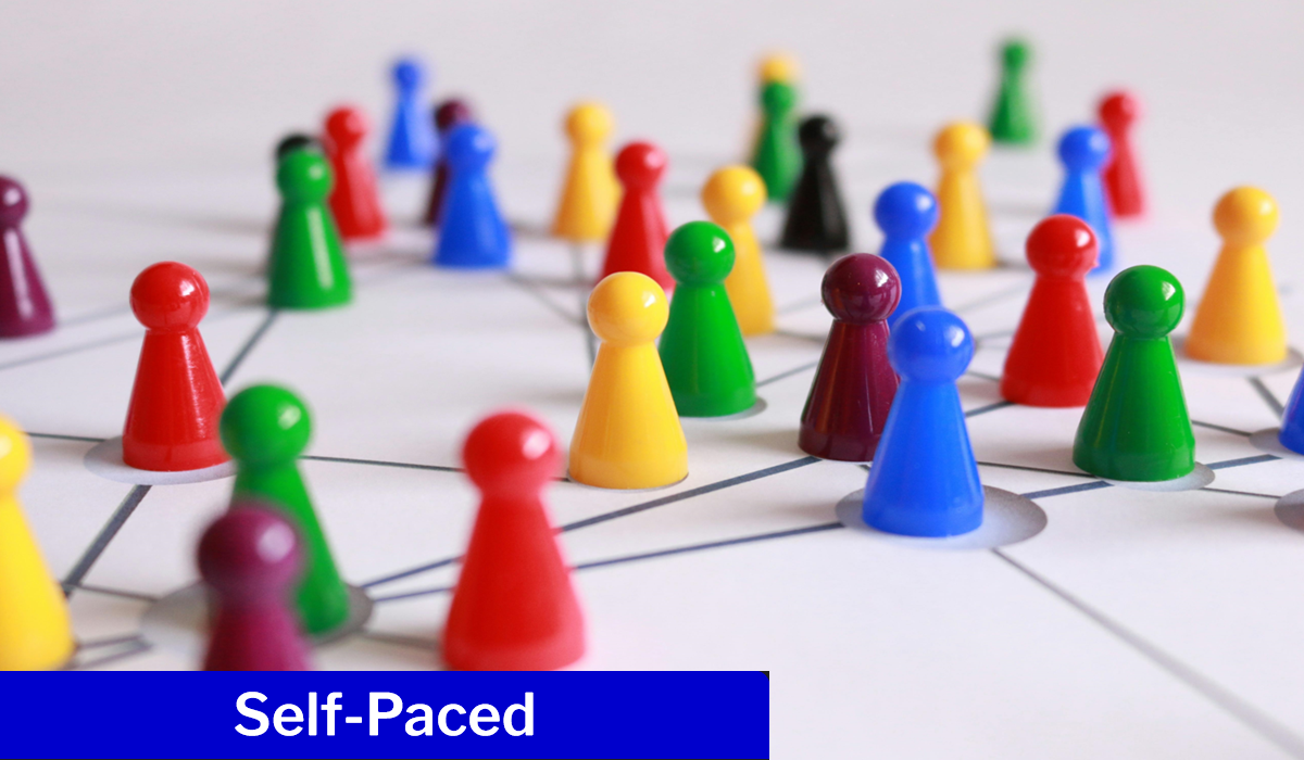 Dynamic Segmentation by Interactions