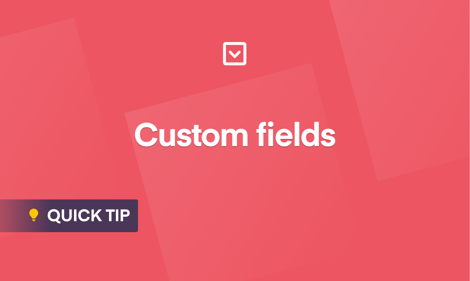 Custom Fields