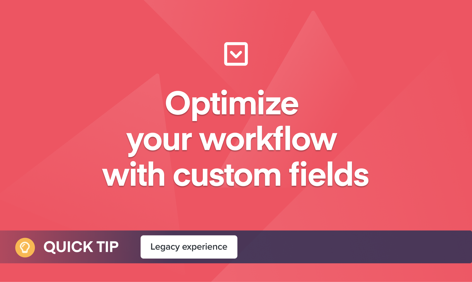 Optimize Your Workflow With Custom Fields 0681
