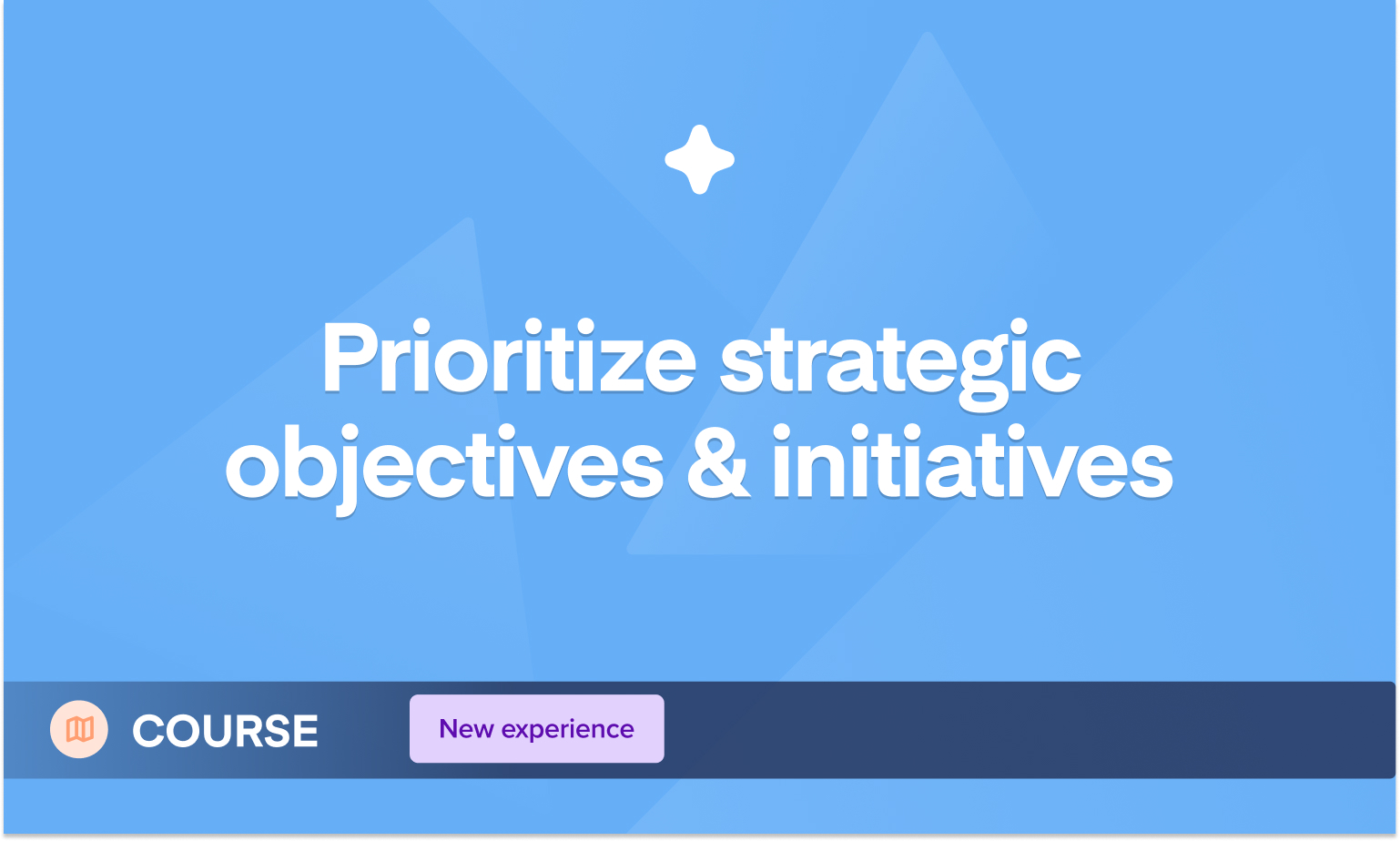 Prioritize strategic objectives & initiatives