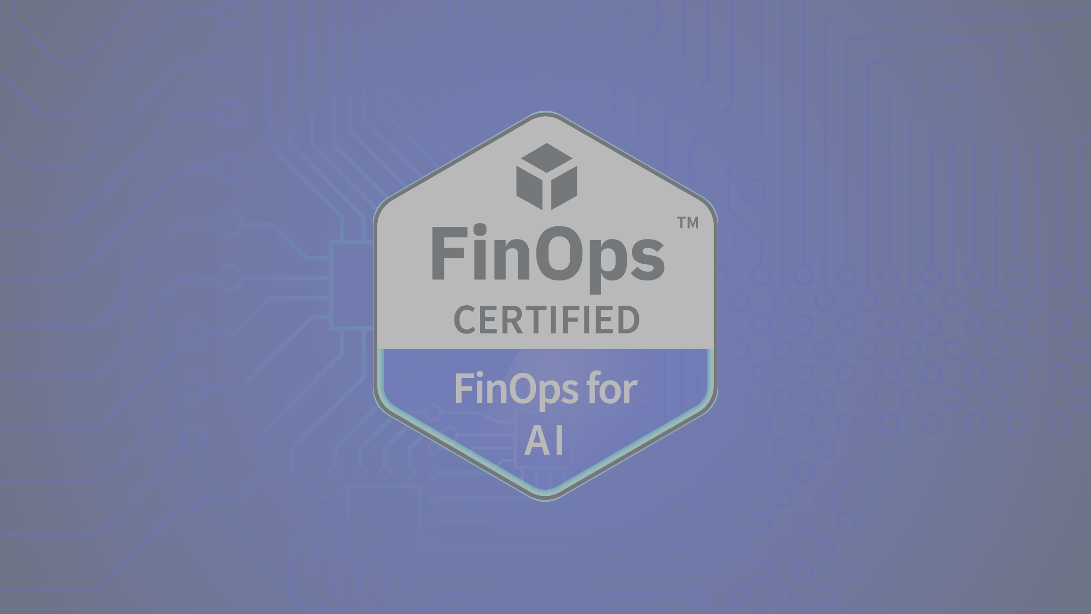 FinOps Certified: FinOps for AI
