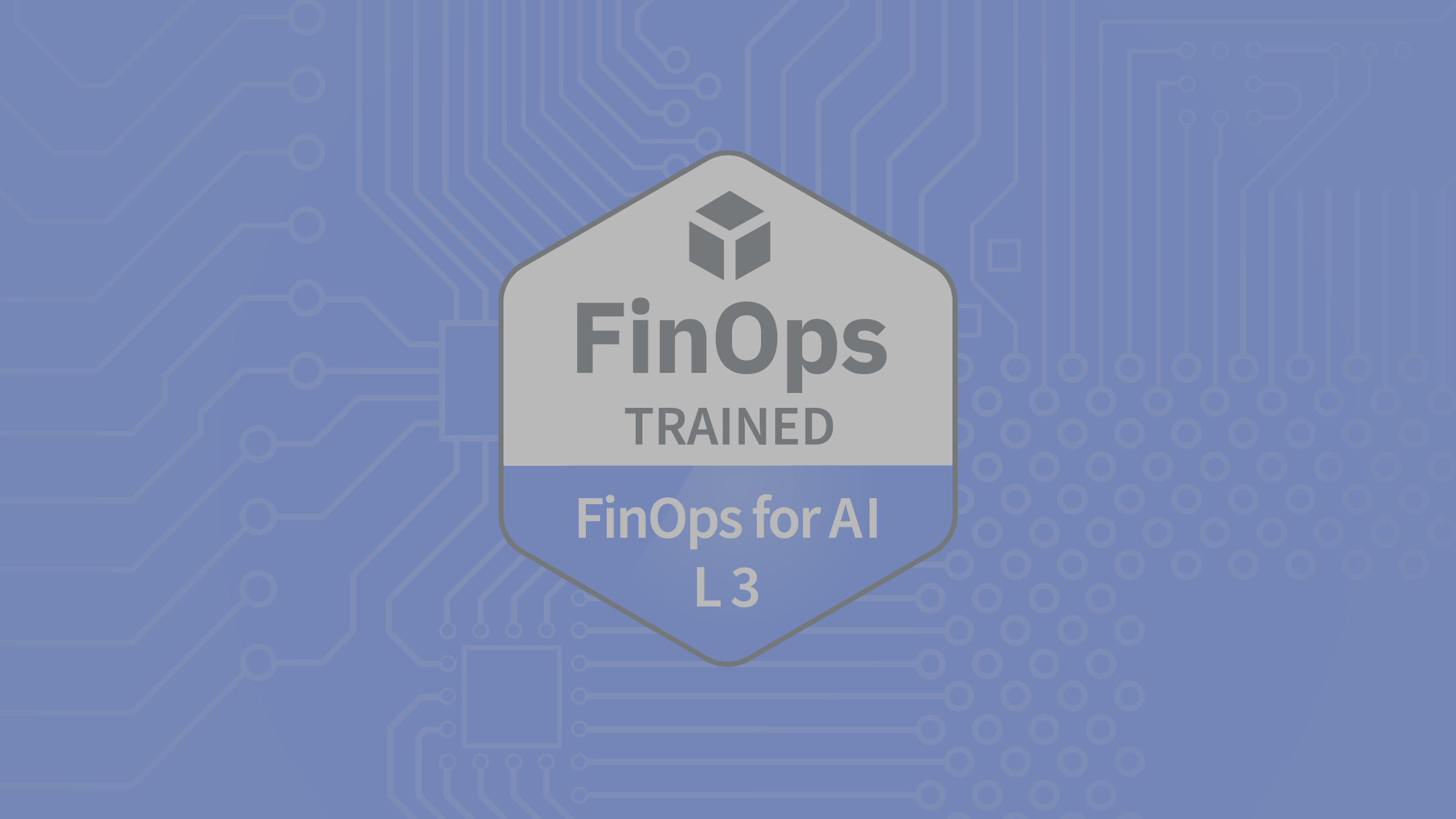 FinOps Certified Practitioner
