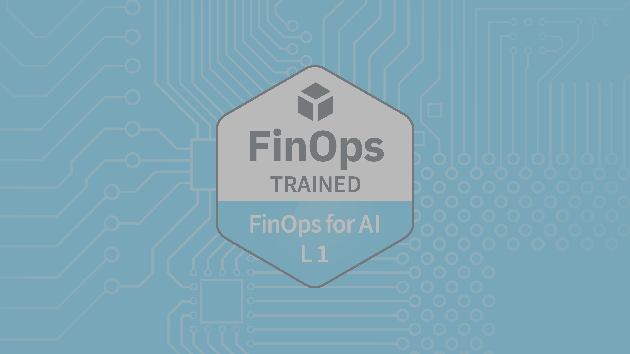 FinOps Certified: FinOps for AI
