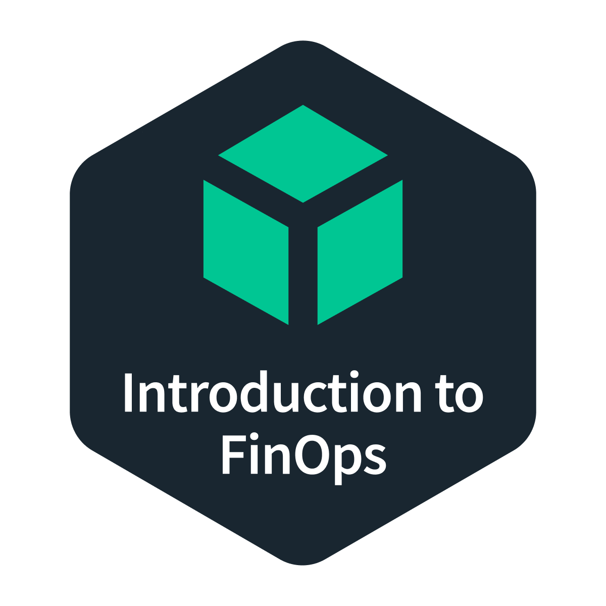 FinOps Certified Practitioner