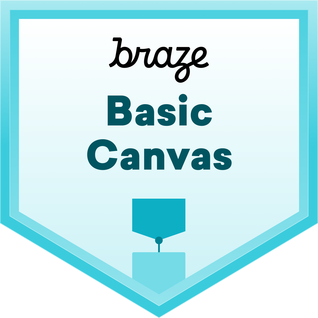 Canvas 101