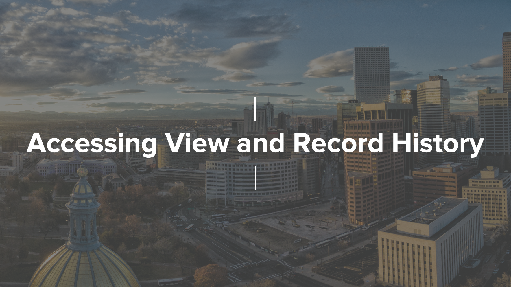 Accessing View and Record History