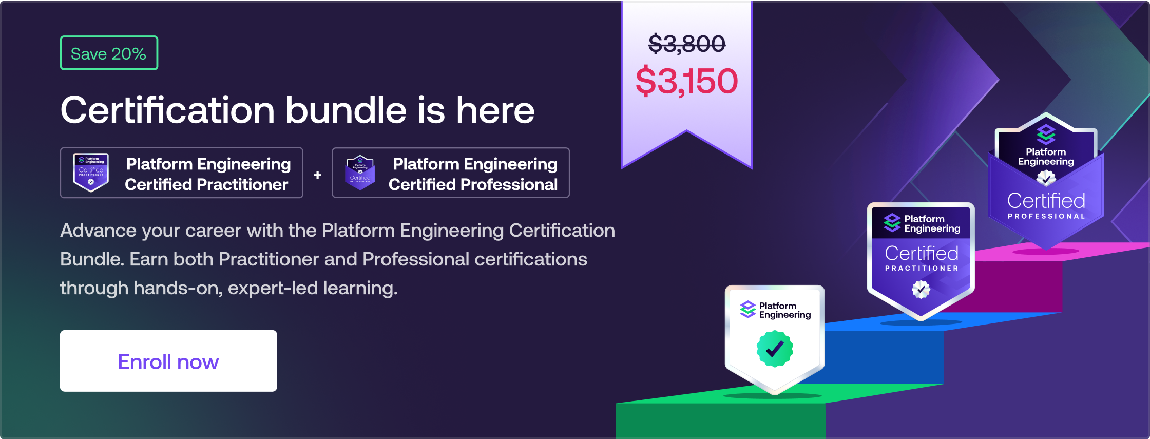 Certification Bundle: Practitioner & Professional