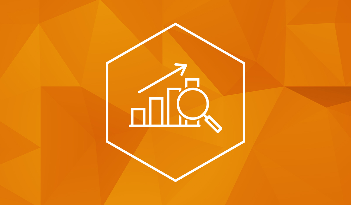 Data Quality Reports 3101