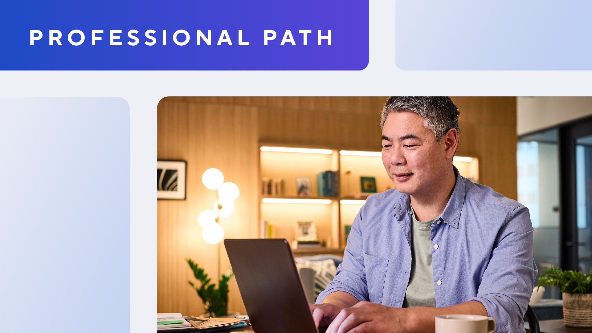 The Professional Path Overview