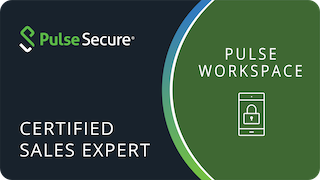 An Overview of Pulse Workspace