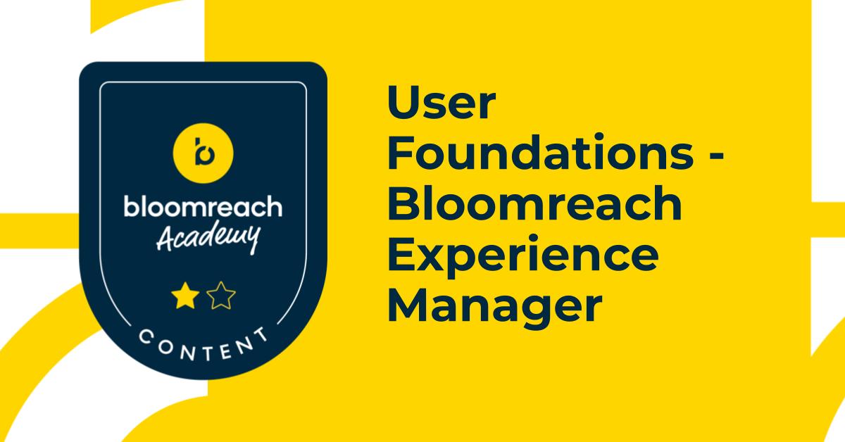 User Foundations - Bloomreach Experience Manager