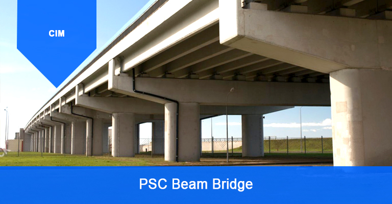 Midas CIM for Intermediate: PSC Beam Bridge