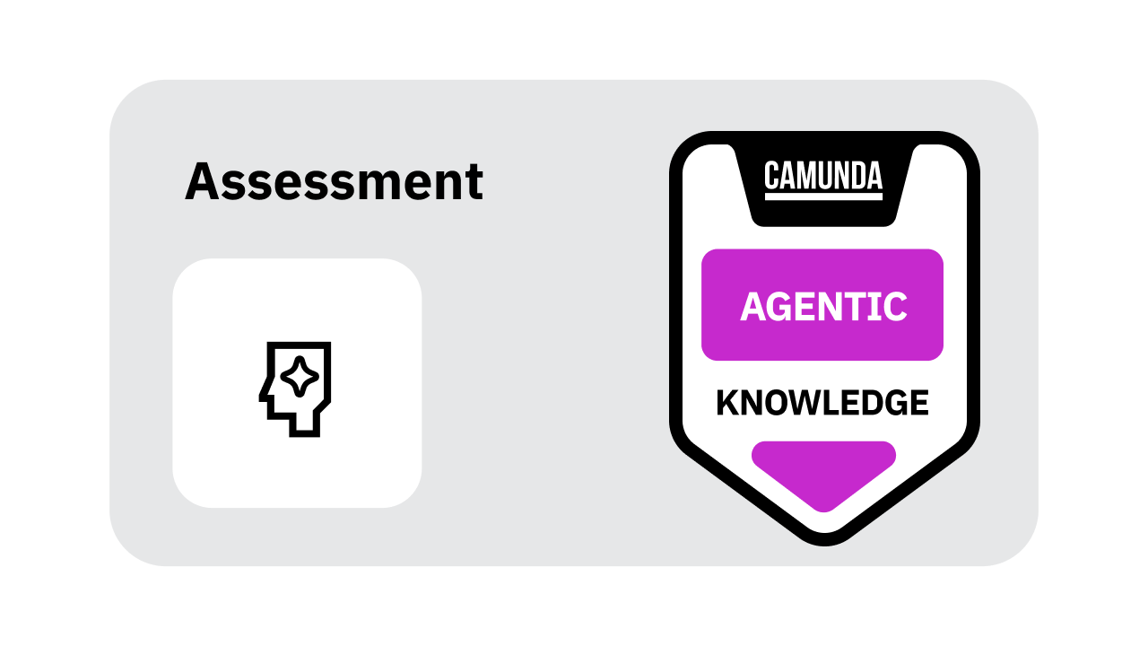 Camunda 8 - Agentic Orchestration - Assessment