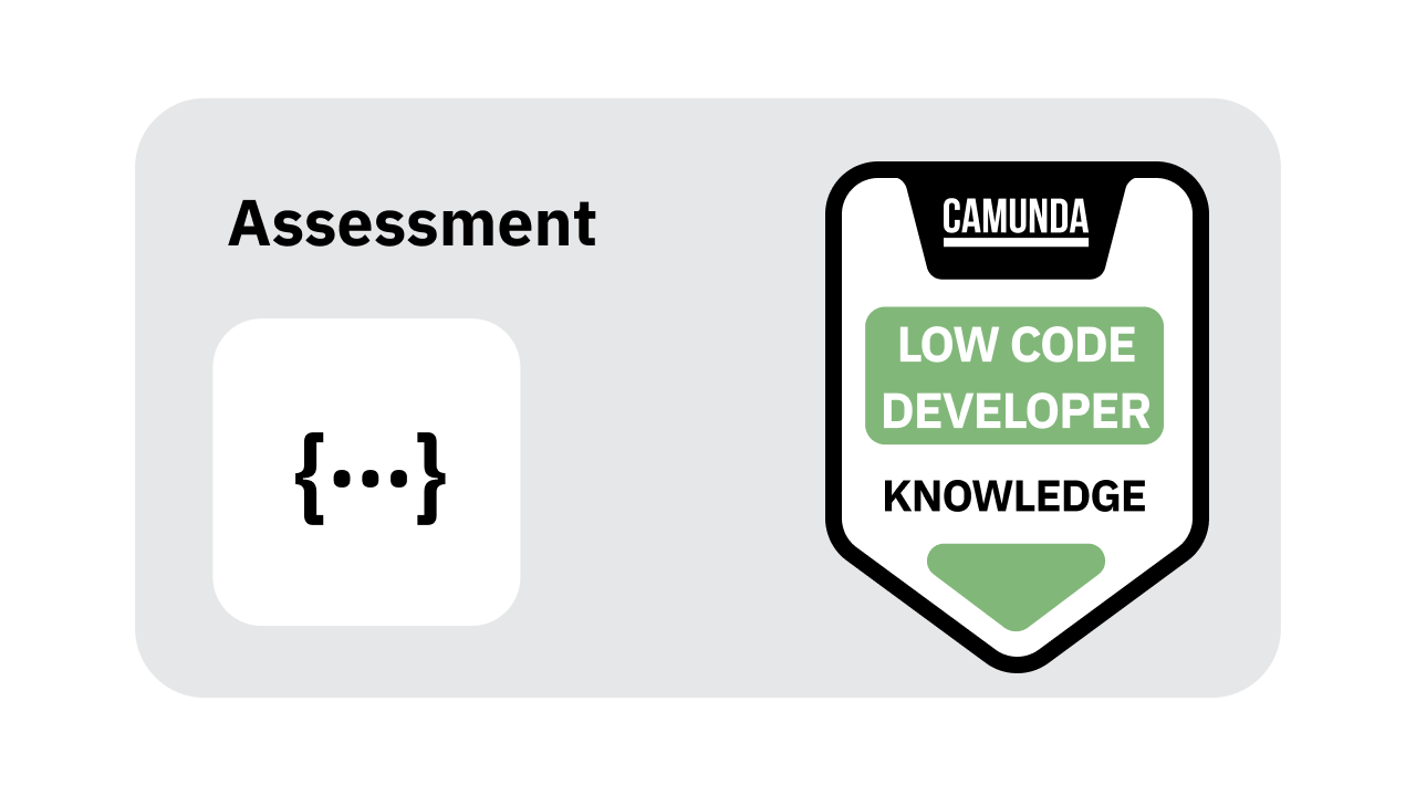 Camunda 8 - Low Code Developer - Assessment