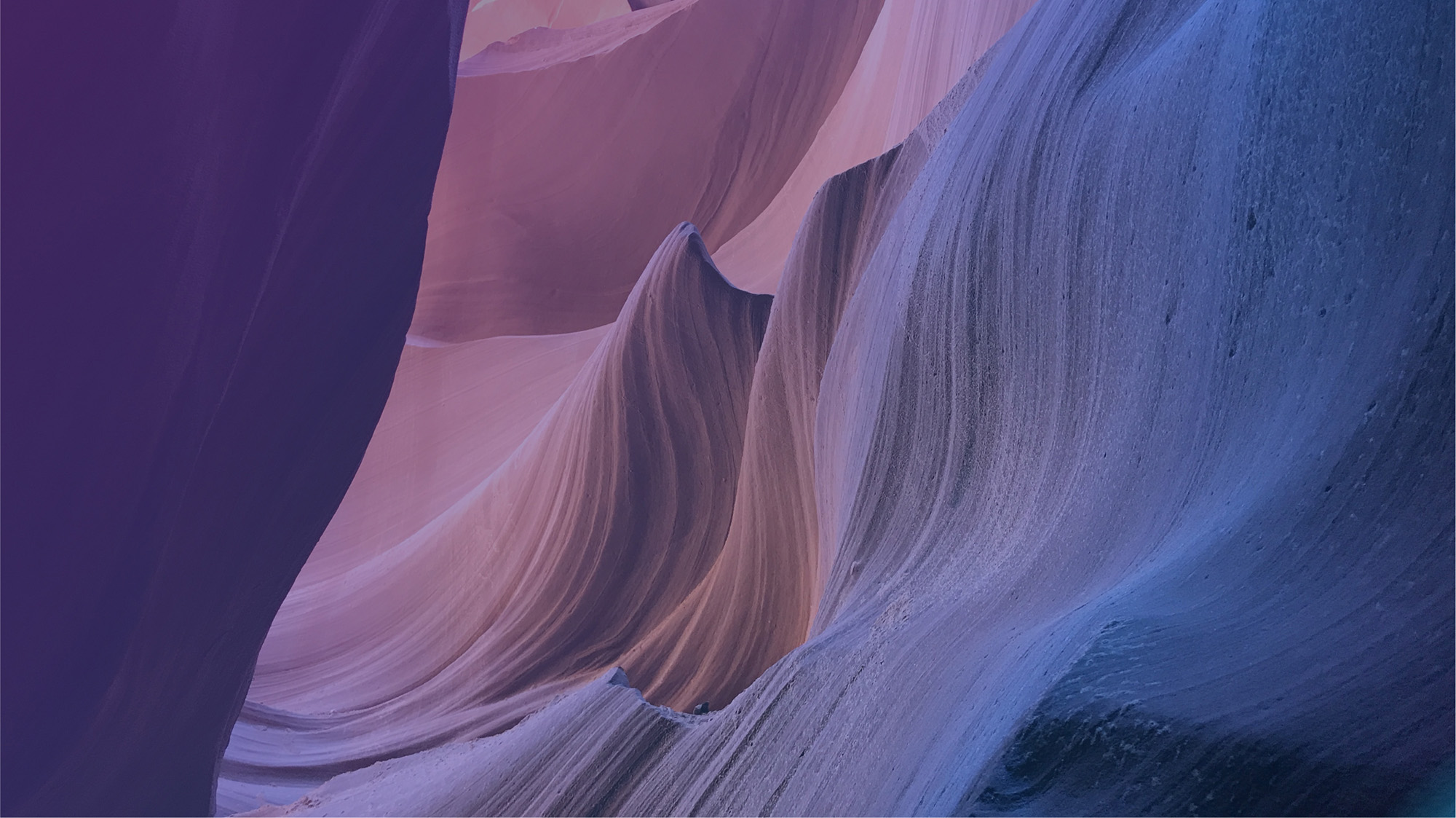 The Truth About Agile Insights
