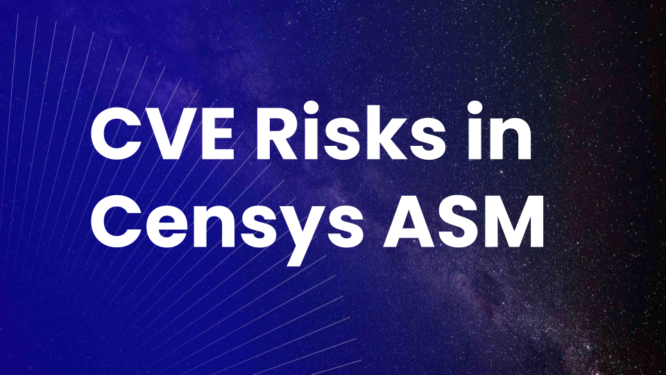 Feature Spotlight: CVE Risks in Censys ASM