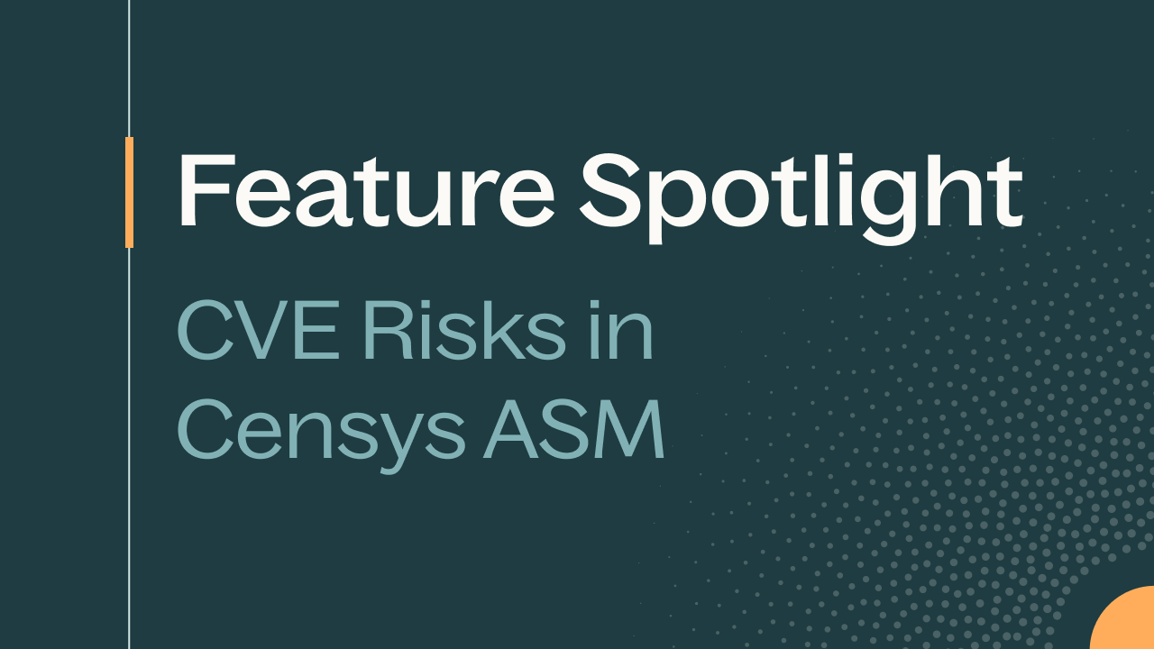 Feature Spotlight: CVE Risks in Censys ASM
