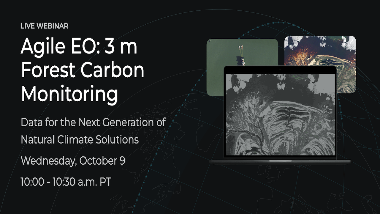 Agile EO: 3 m Forest Carbon Monitoring