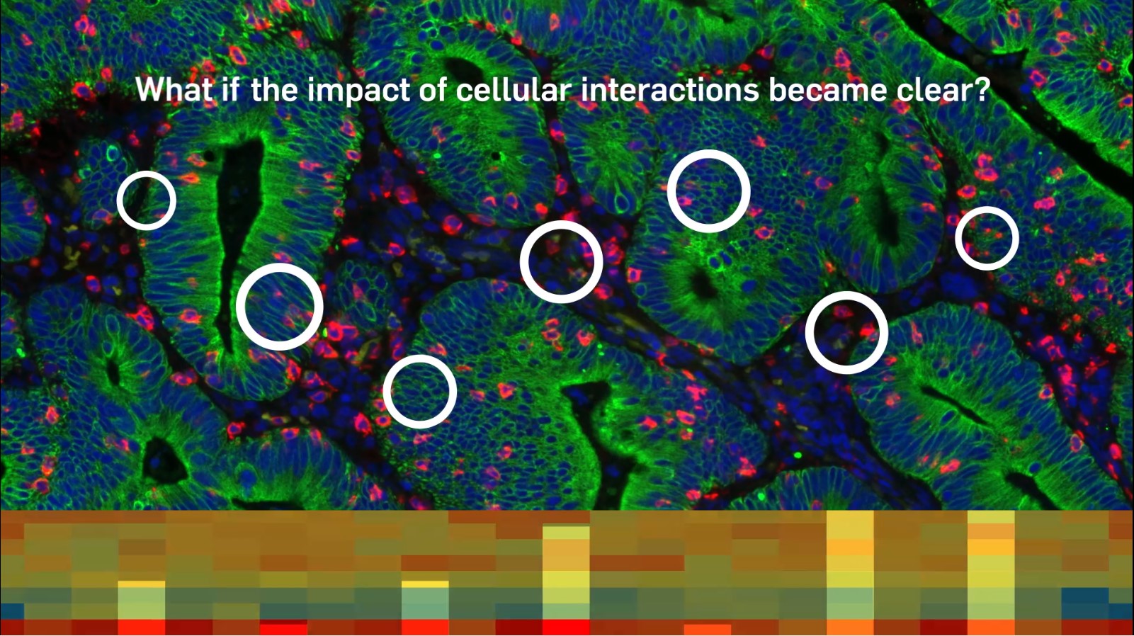 university.nanostring.com