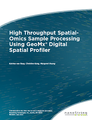 High Throughput Spatial-Omics Sample Processing Using GeoMx DSP