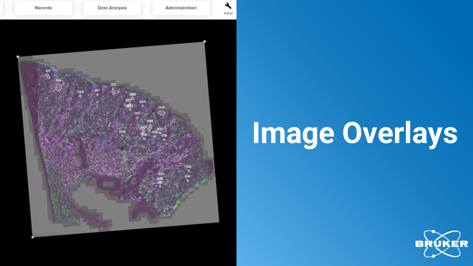 GeoMx® DSP Instrument Run Support Resources