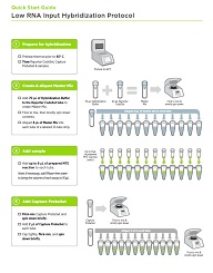nCounter Low RNA Input Amplification Kit