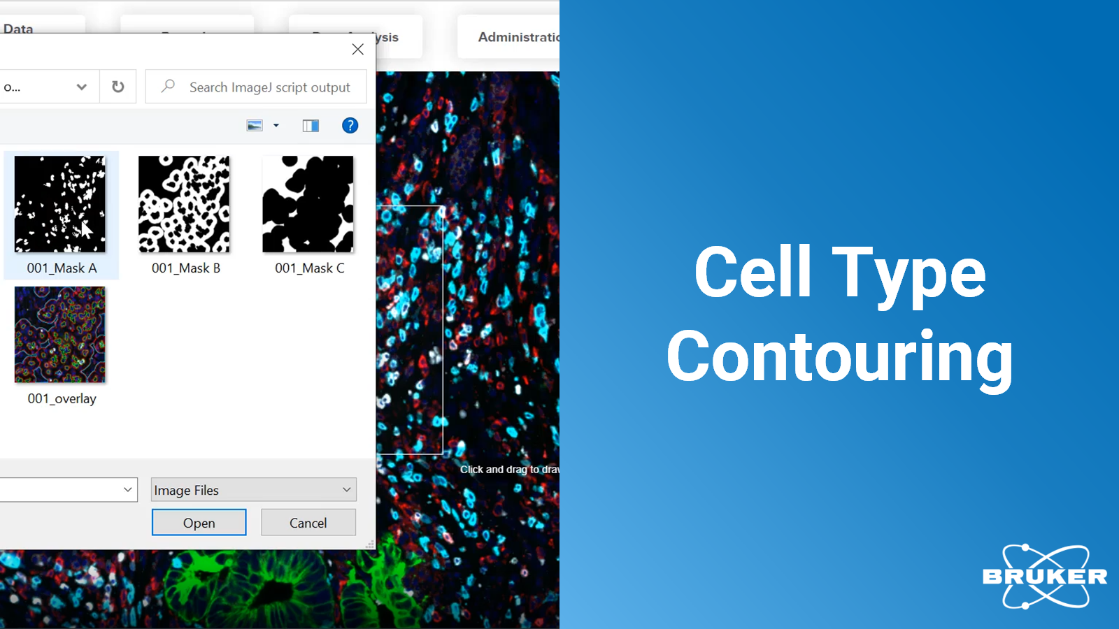 How to perform cell-type contouring using ImageJ