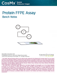 CosMx SMI Protein FFPE Assay Bench Notes