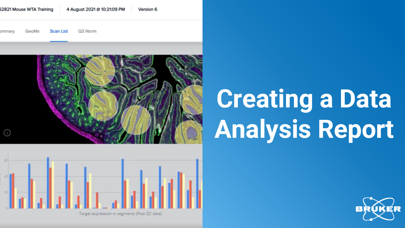 How to create a GeoMx® Data Analysis Report