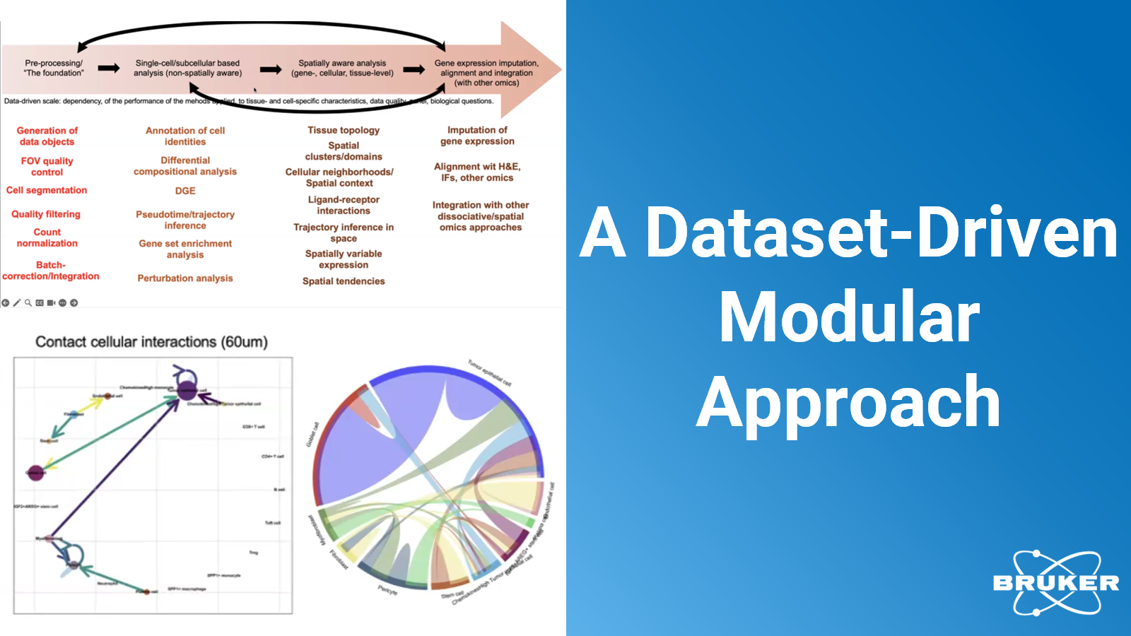 Imaging Based Spatial Transcriptomics Analysis With Cosmx® Smi A Dataset Driven Modular Approach