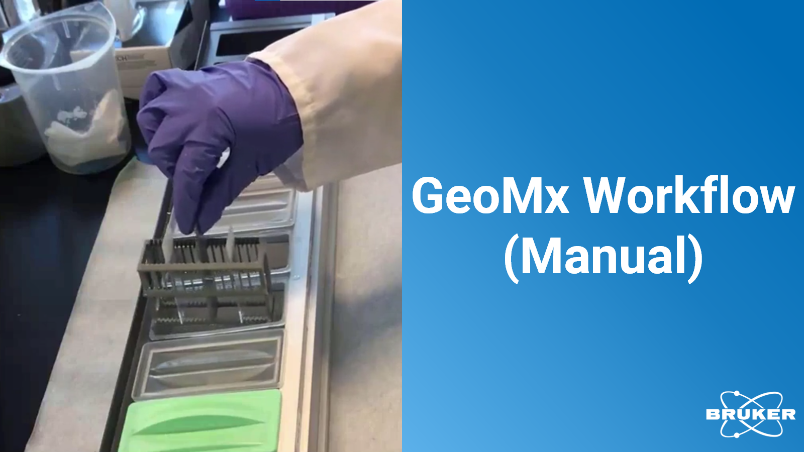 Manual Slide Preparation Workflow (Protein-NGS)