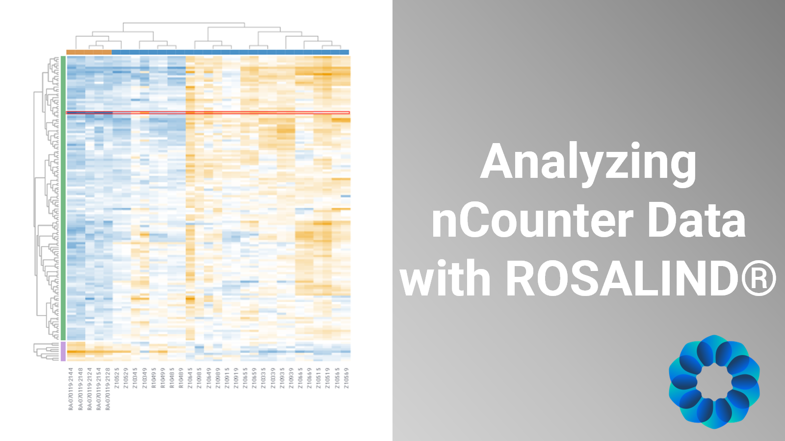 Using ROSALIND® to Analyze nCounter® Data