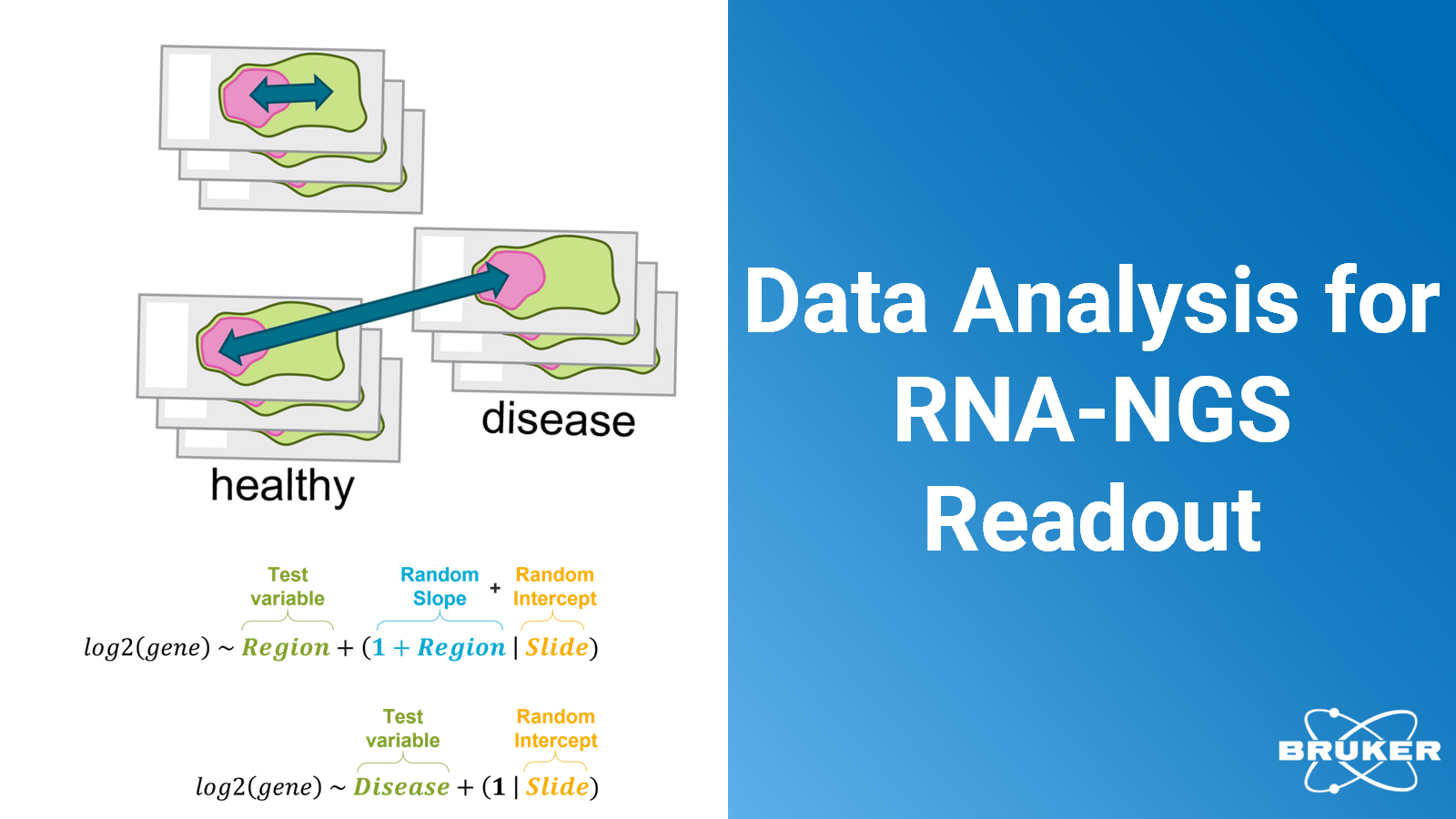 Analyzing GeoMx® DSP Data