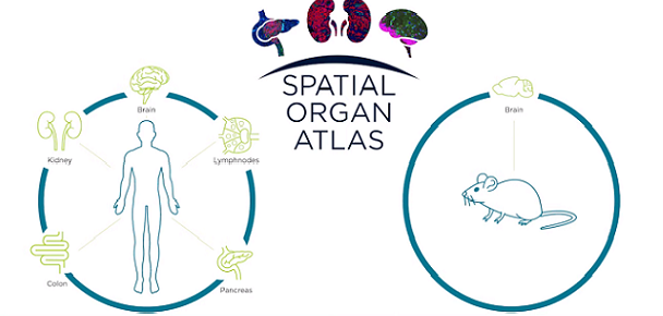 university.nanostring.com