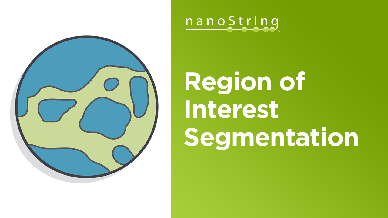 Best Practices For Region Of Interest Segmentation