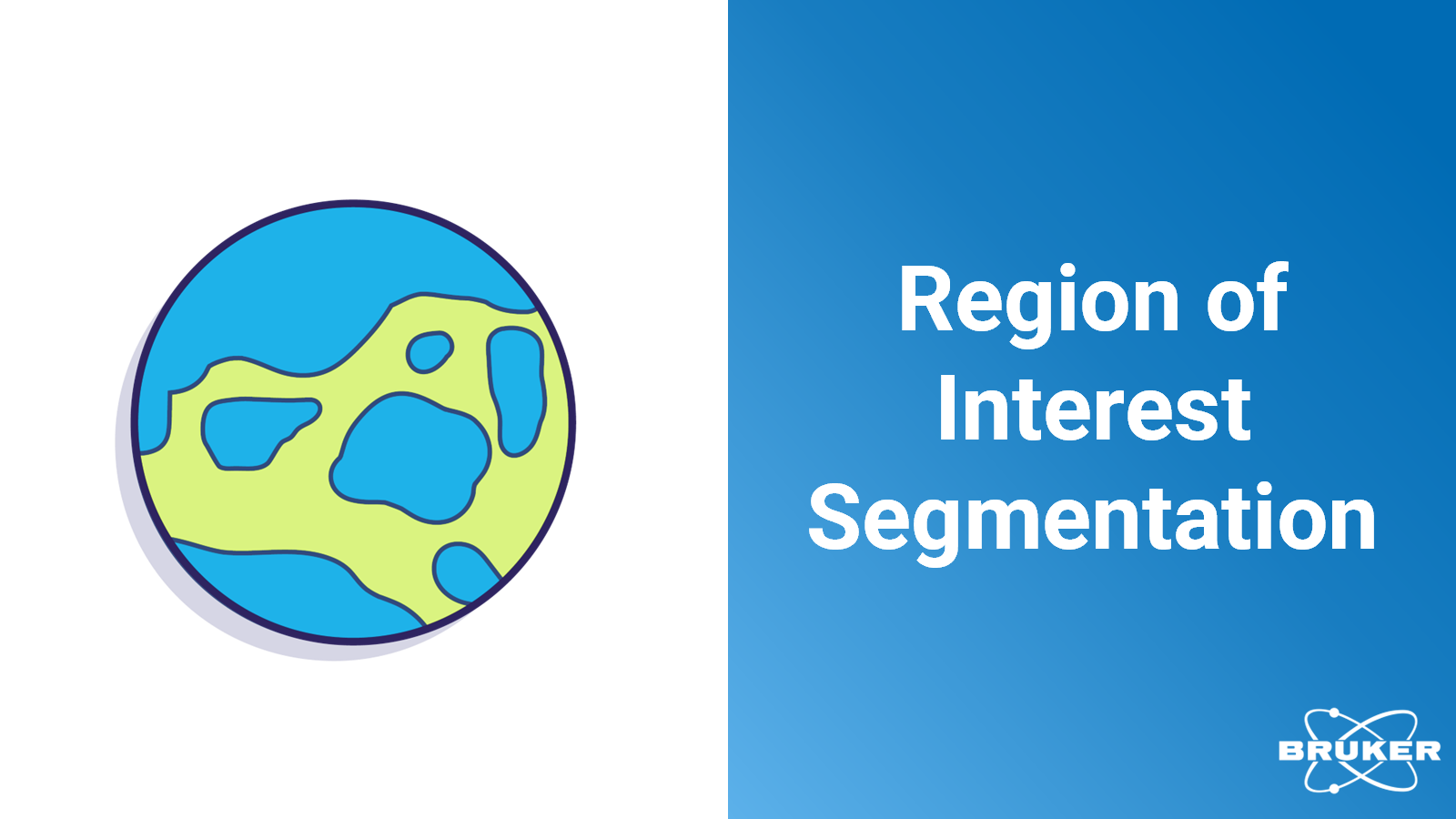 Best Practices for Region of Interest Segmentation