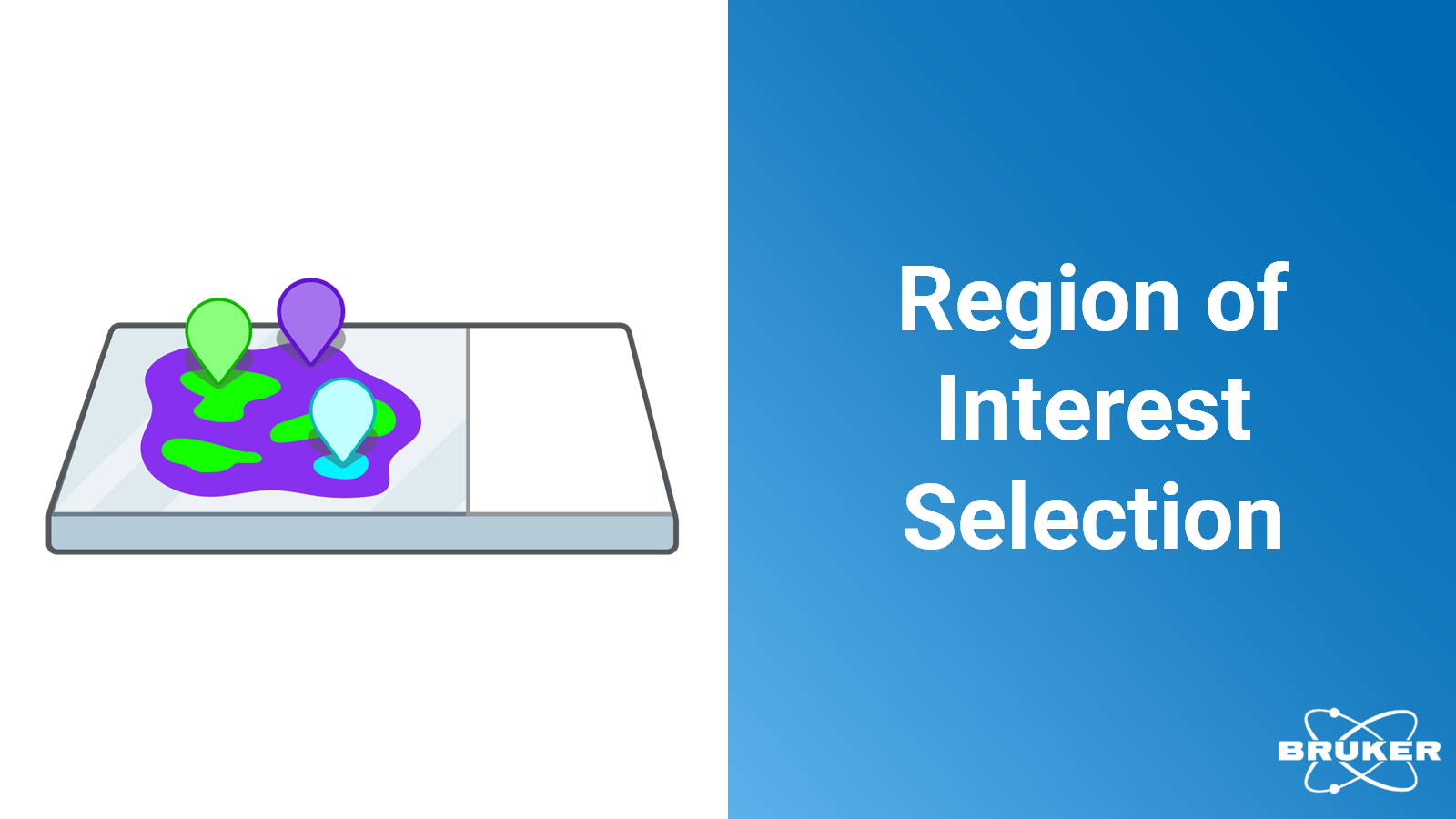 Introduction to Region of Interest Selection