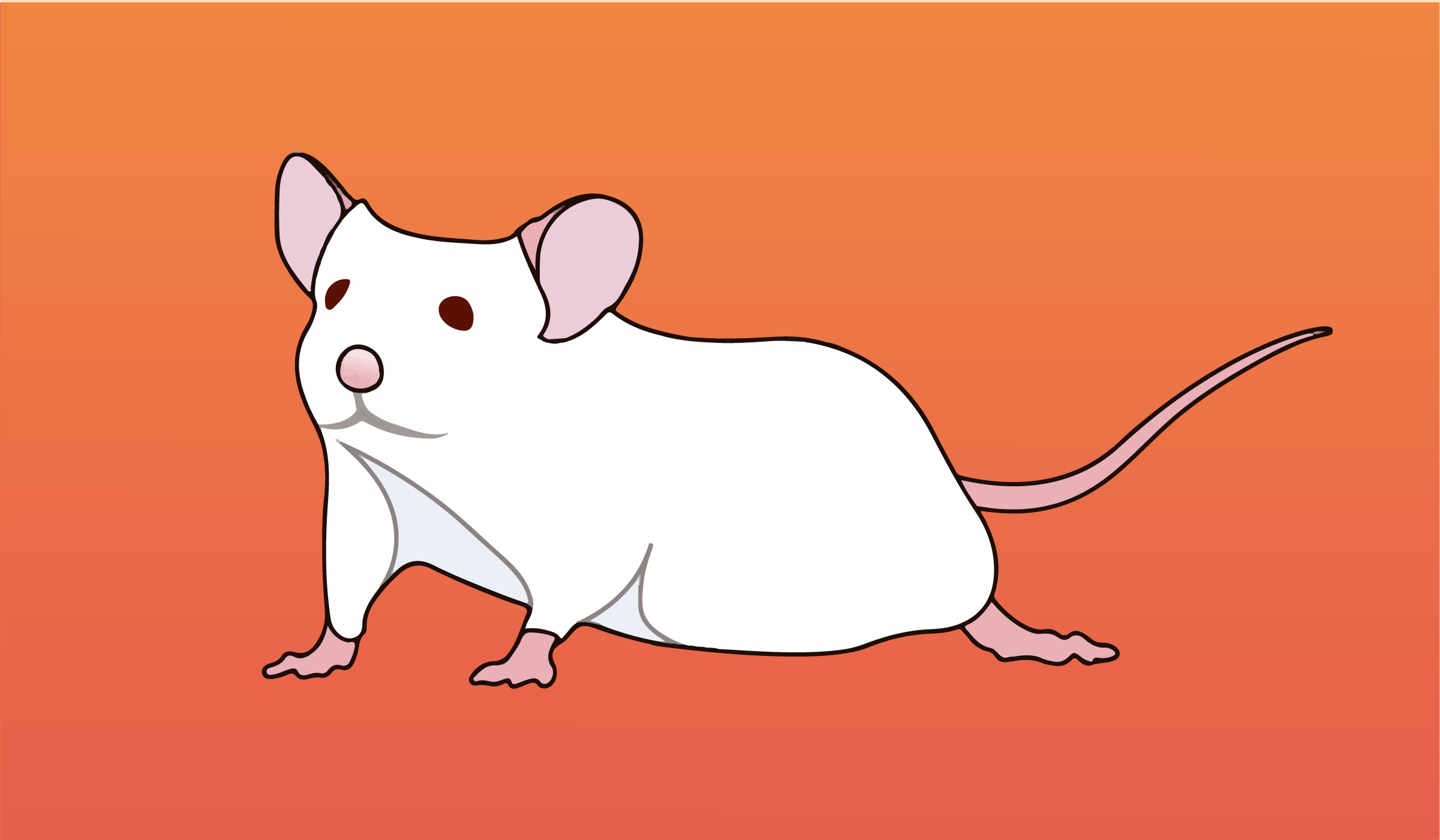 Basics of Mouse Genetics