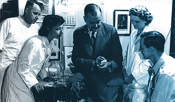 History and Development of the Mouse Model System