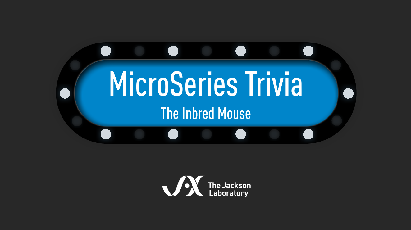 MicroSeries Trivia: The Inbred Mouse