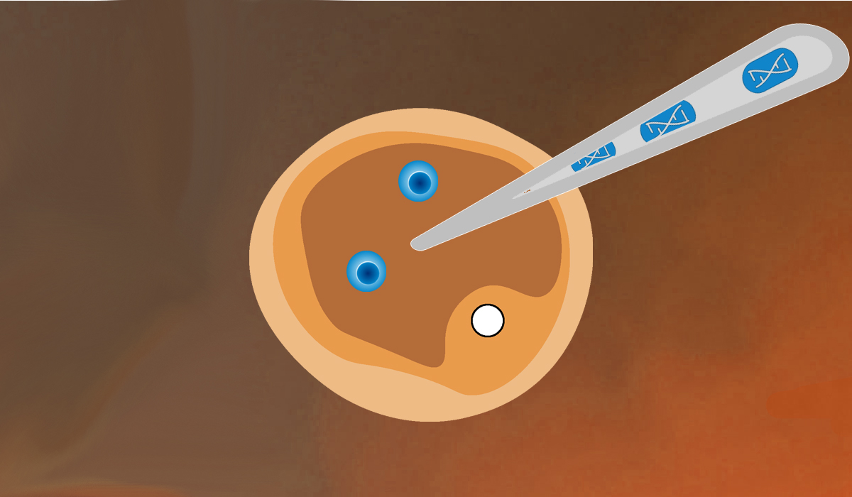 Introduction to Genetic Engineering