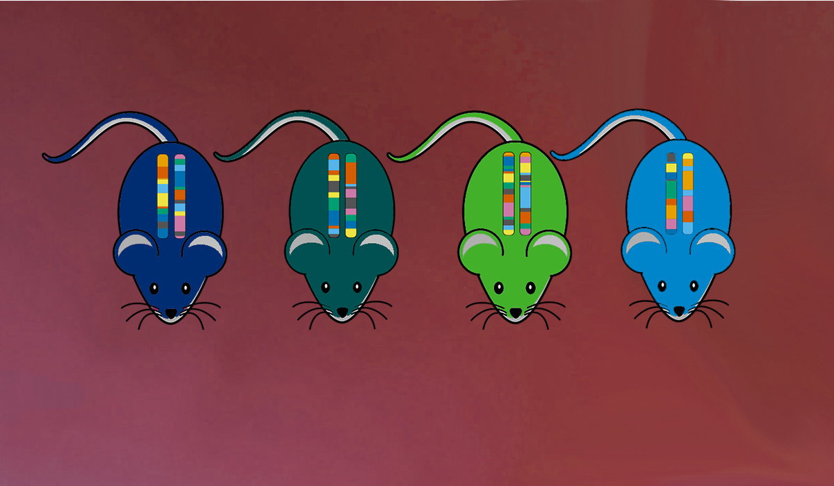 JAX Online MicroLessons and MiniCourses