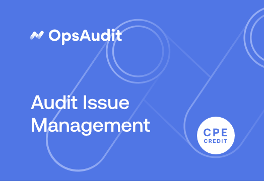 Audit Issue Management