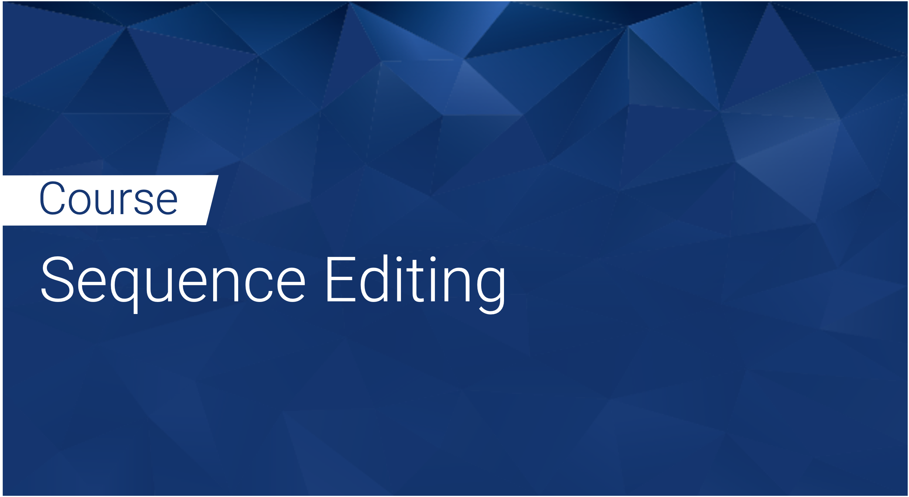 Defensics Sequence Editing