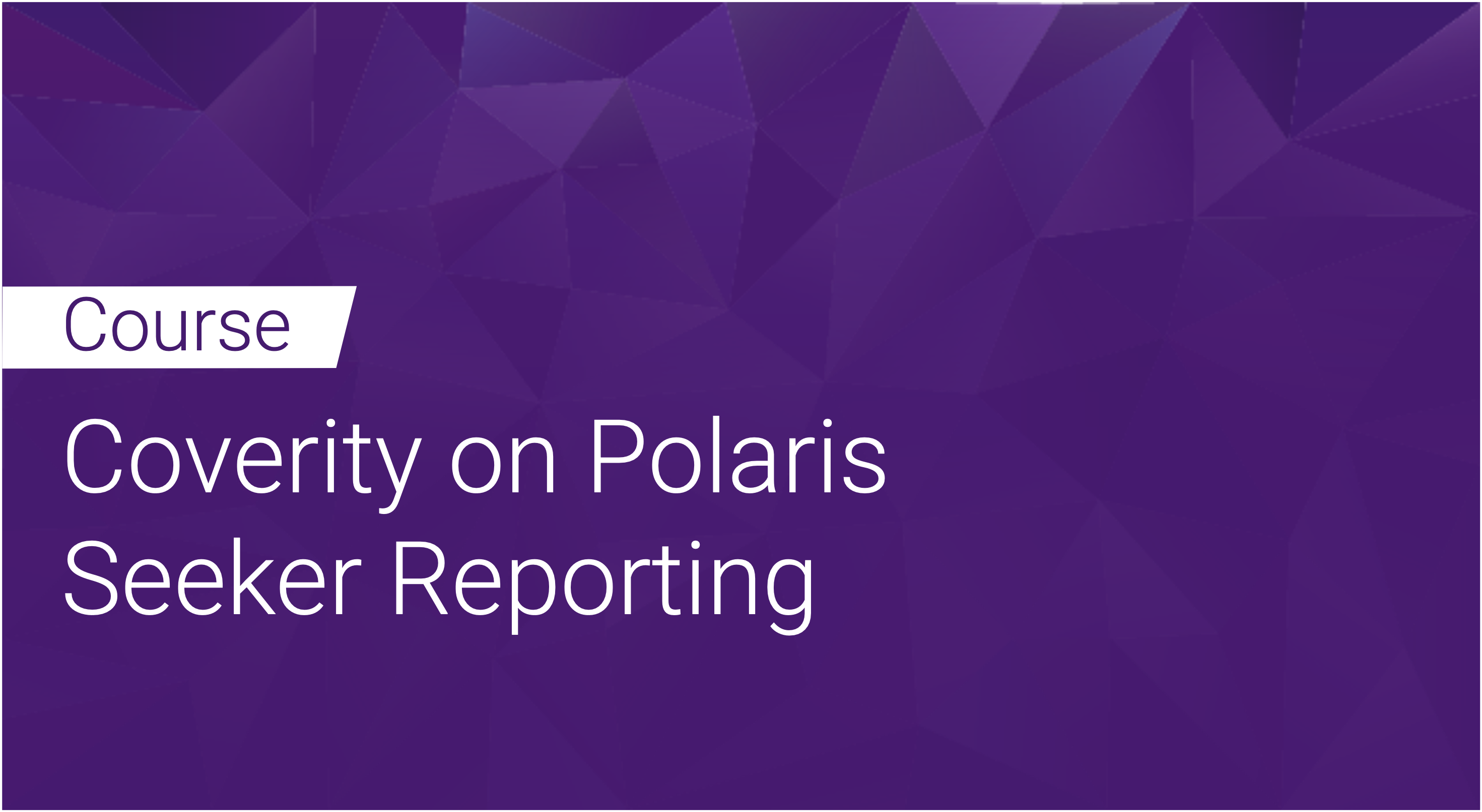 Coverity On Polaris Seeker Reporting