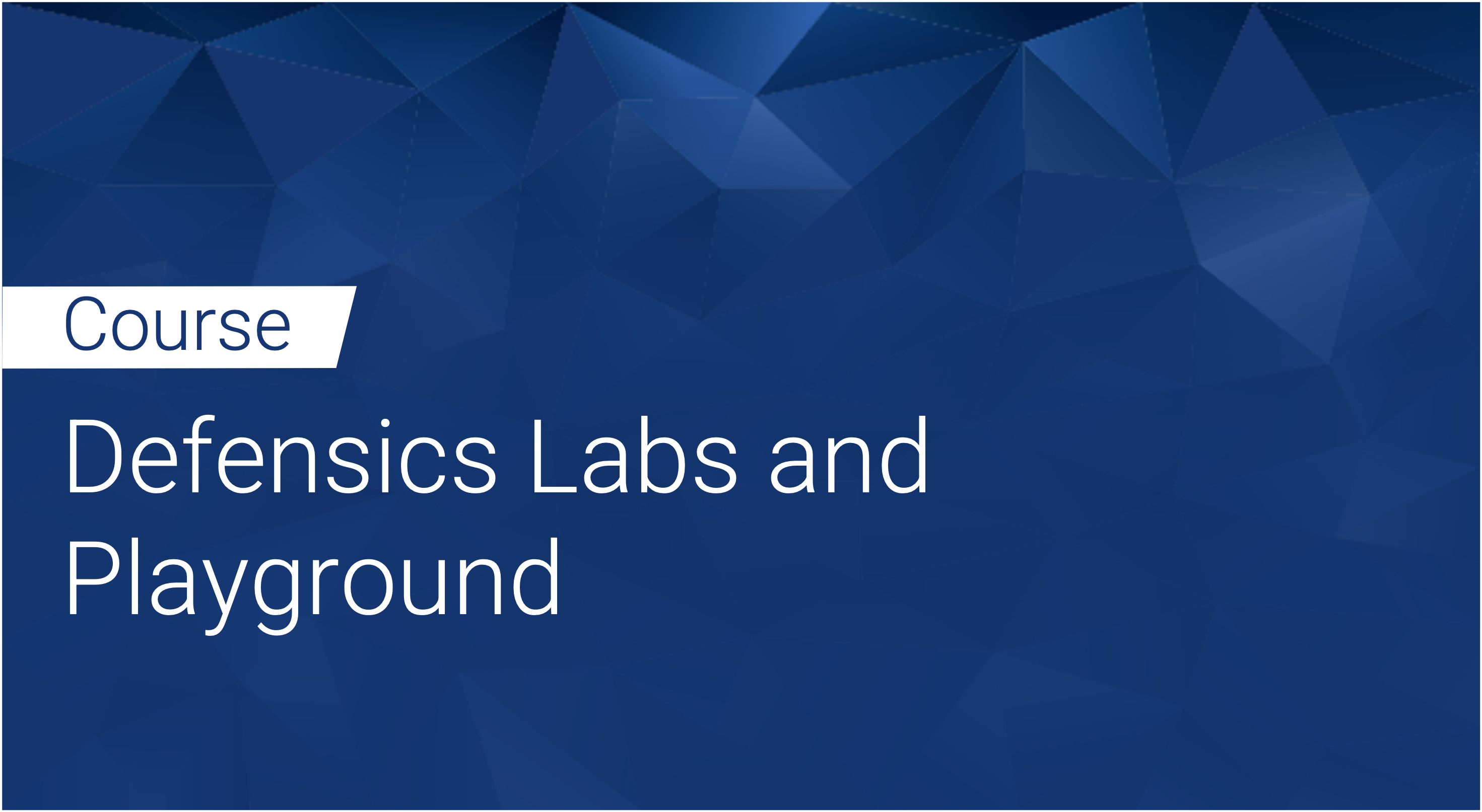 Defensics Labs And Playground