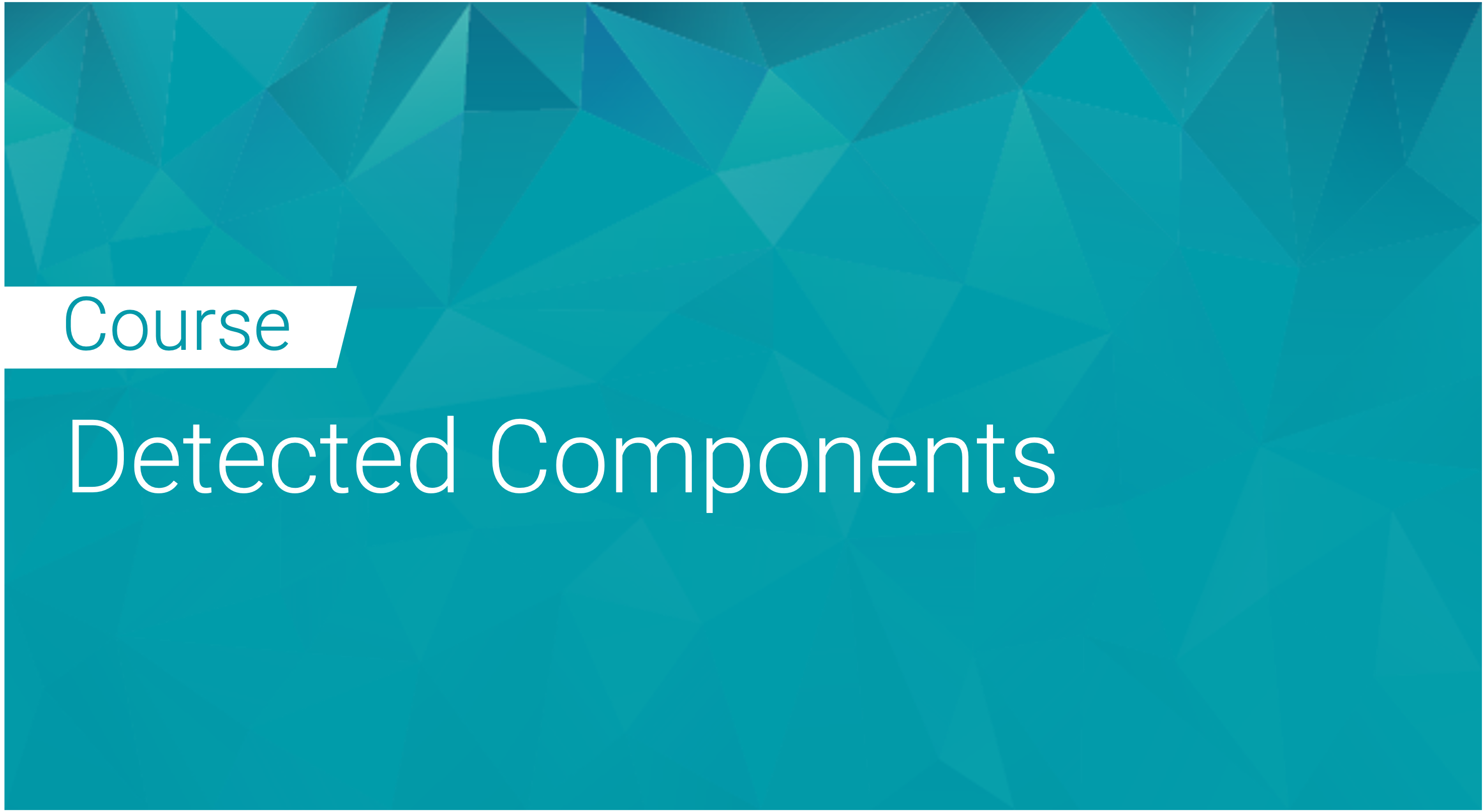 Black Duck Binary Analysis Detected Components