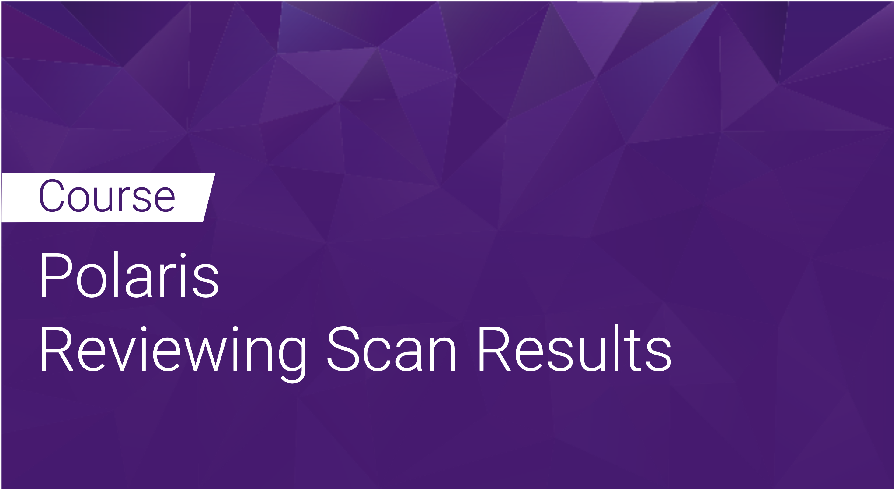 Polaris Reviewing Scan Results